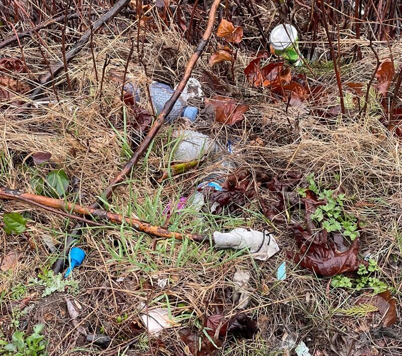 Park visitor shares photo of unfortunate scene captured at scenic ...