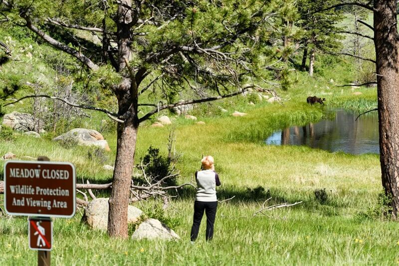 Photo of national park visitor ignoring warning signs for photo of ...