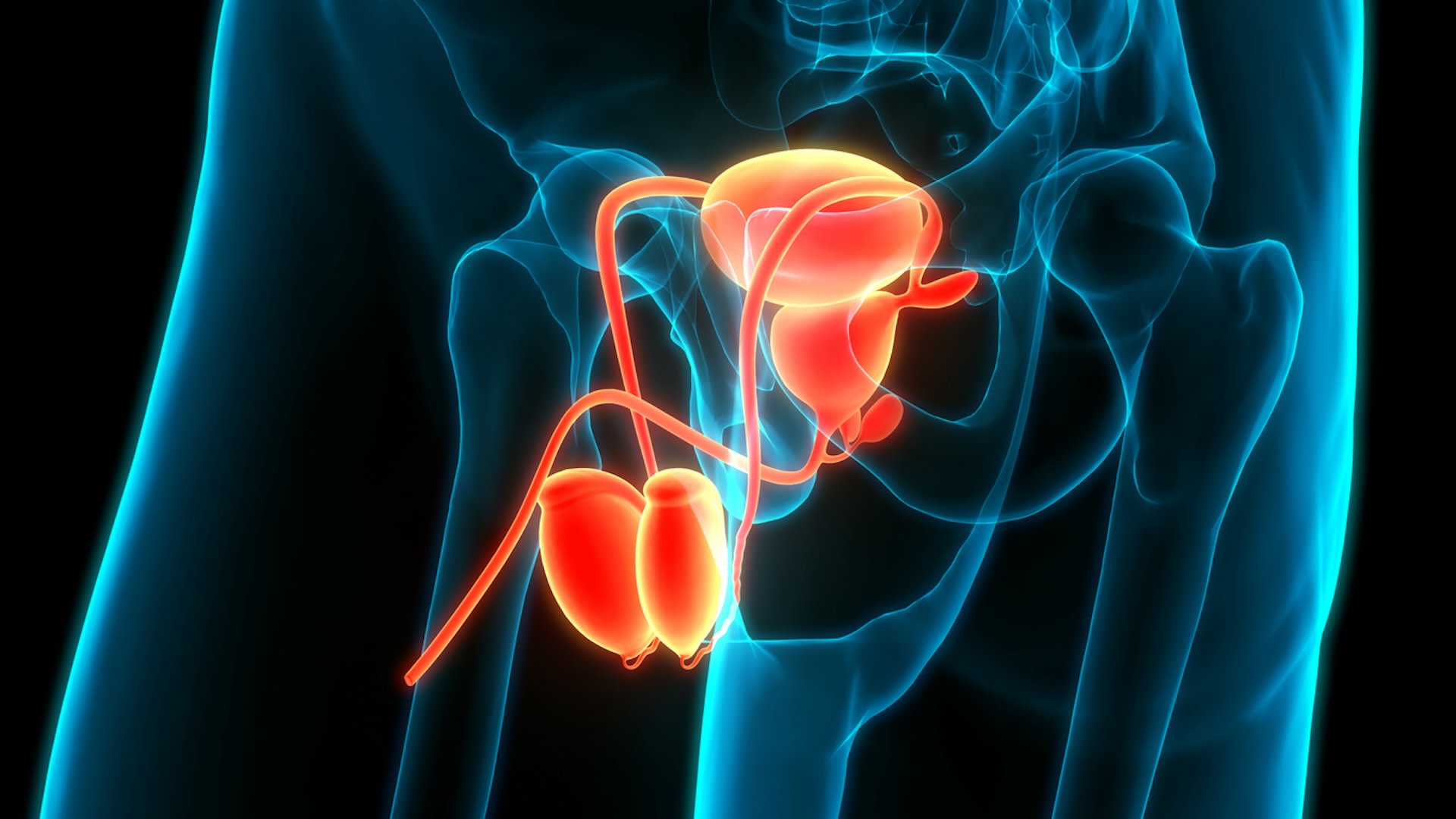 Scientists alarmed after discovering pervasive toxins in human testes ...