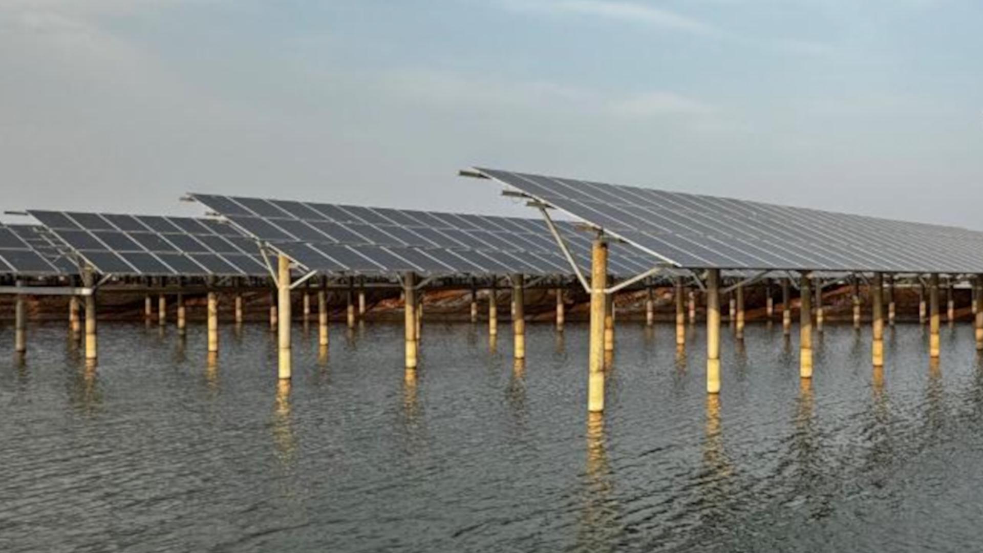 Experts discover game-changing benefit of installing solar panels at ...