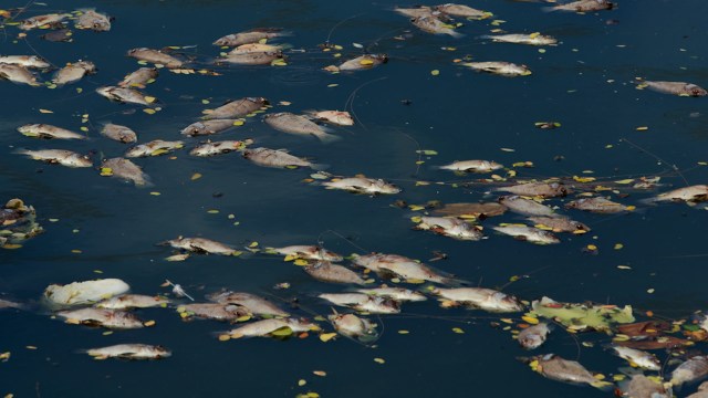 Company hit with fine after leaking nearly half a million gallons of ...