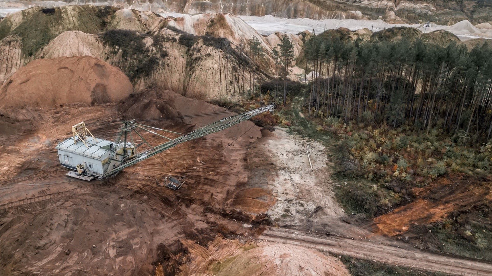 Researchers make worrying discovery about mining impact on endangered ...