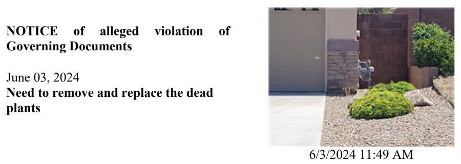 Homeowner stunned after HOA sends violation notice over allegedly dead ...