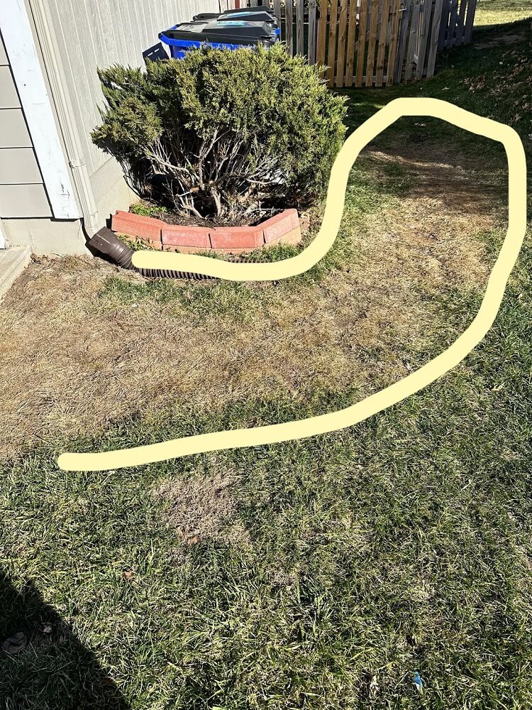 Homeowner attempts to find solution to their winter lawn mistake: 'Work ...