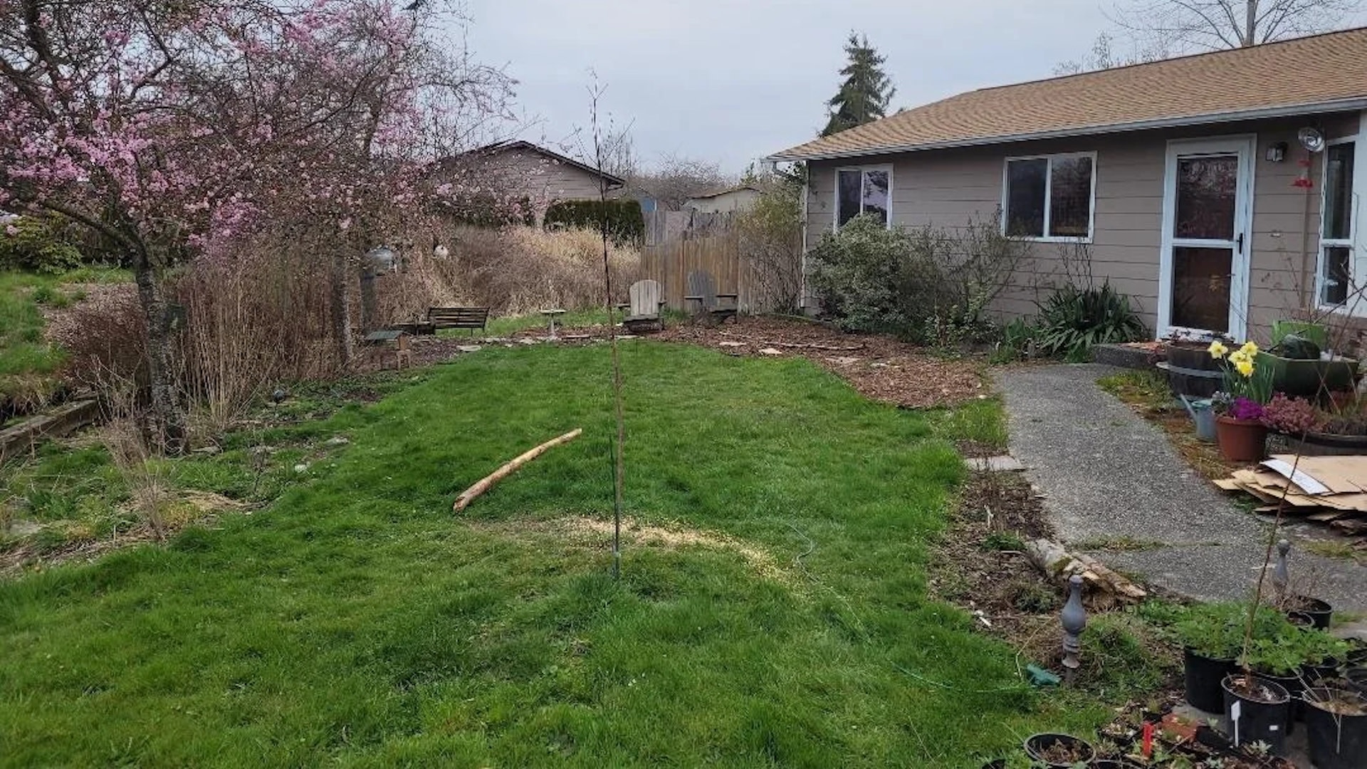 Gardener shares 'beautiful' before-and-after photos of incredible lawn ...