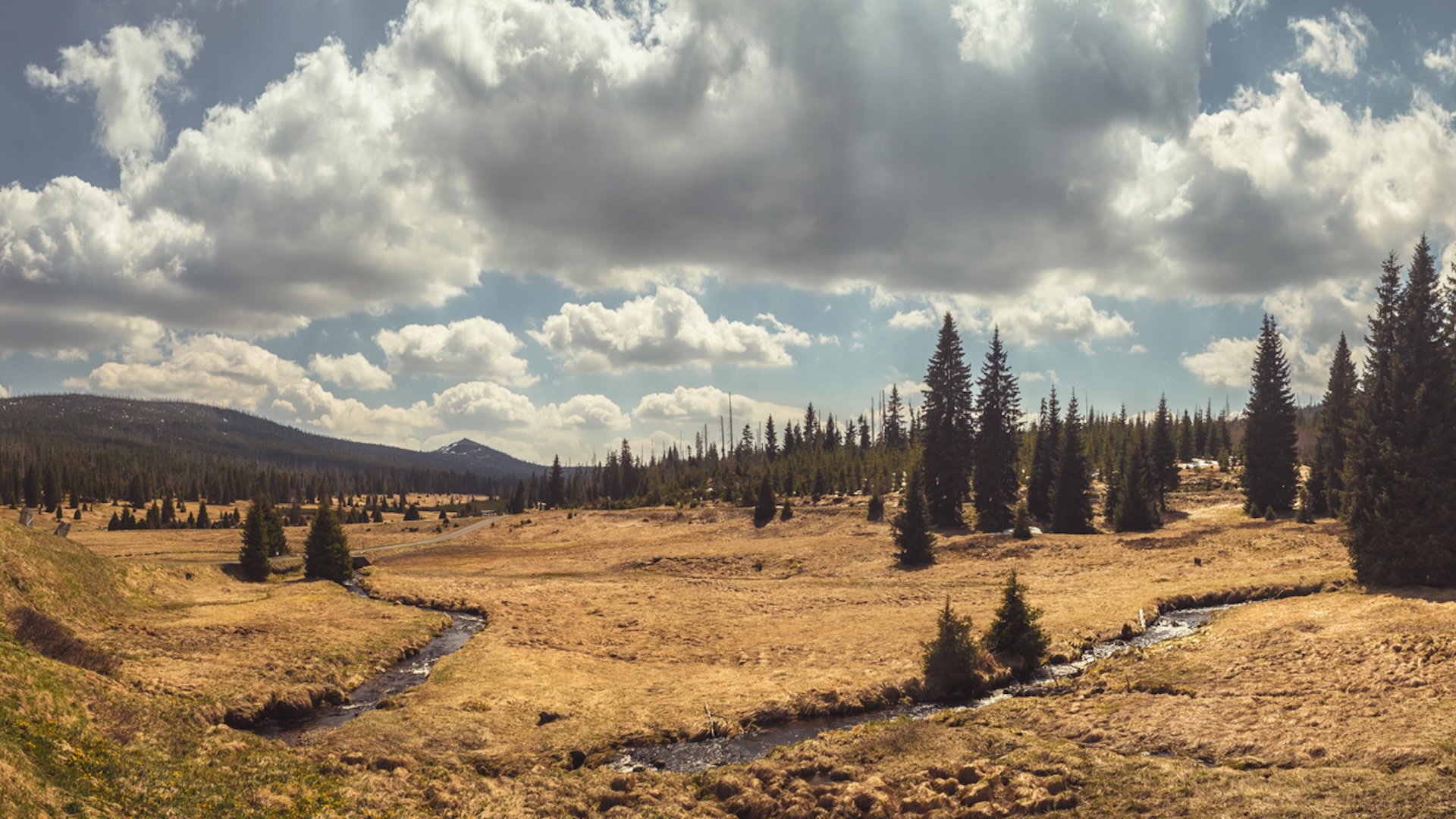 Researchers make concerning chemical discovery after assessing national park animals: 'Deeper ...