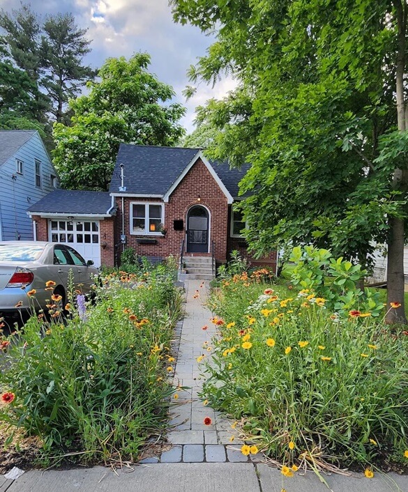 Proud homeowner shares breathtaking photo after their front lawn ...