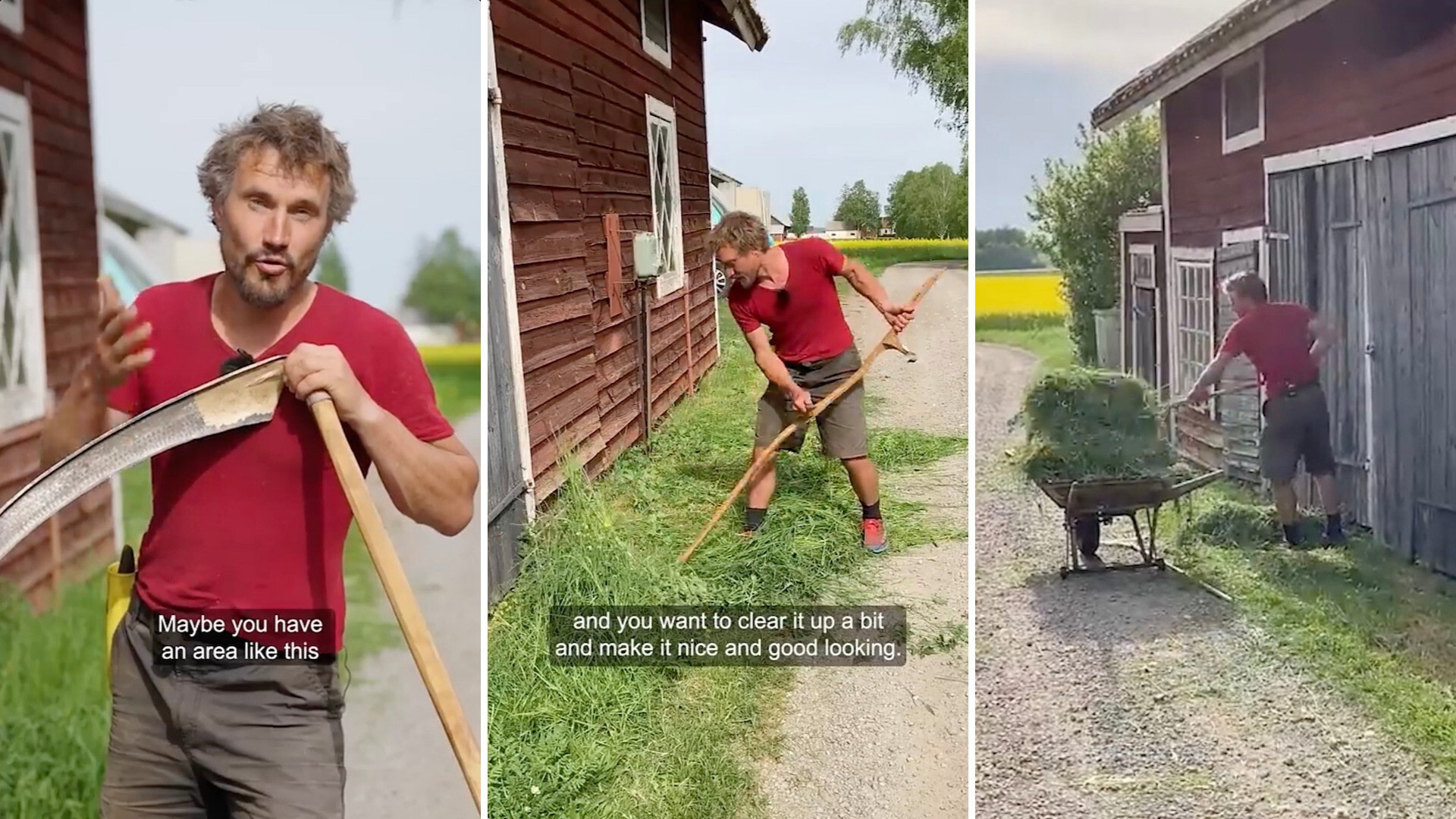 Professional mower showcases grass removal tool that outcompetes power ...