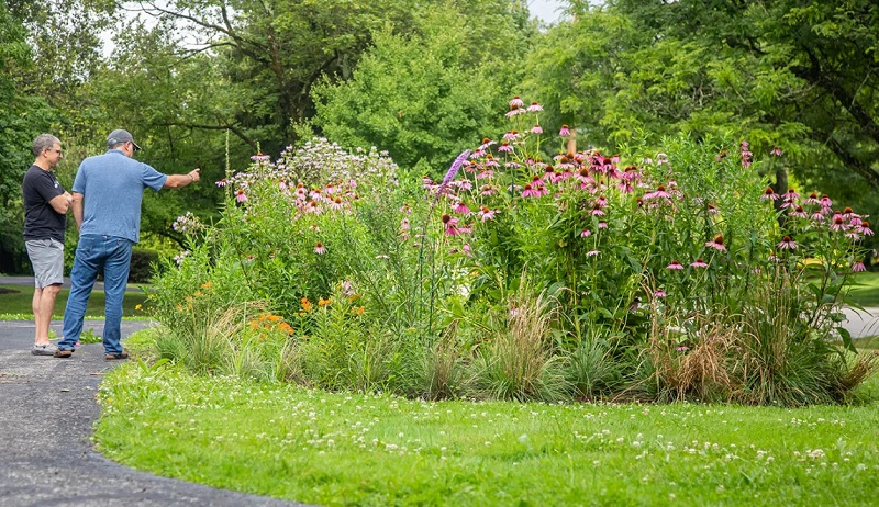 Gardener shares 'inspiring' before-and-after photos after planting ...