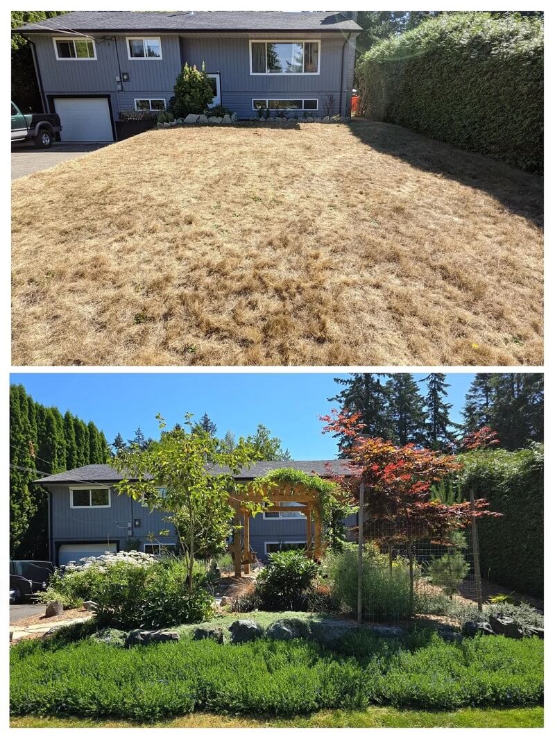 Homeowner shares stunning before-and-after photos after ditching most ...