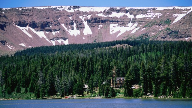 Conservation groups celebrate major victory as US Forest Service halts ...