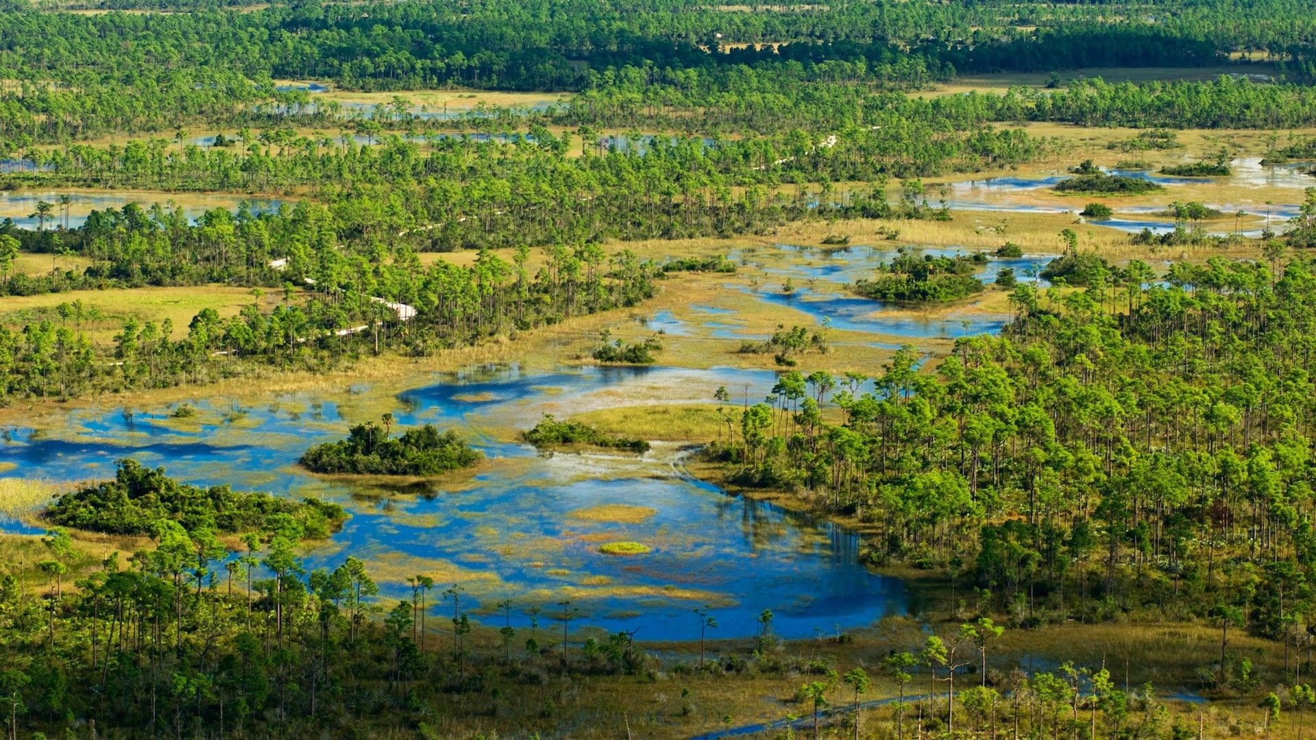 State embarks on world's largest restoration project in efforts to ...