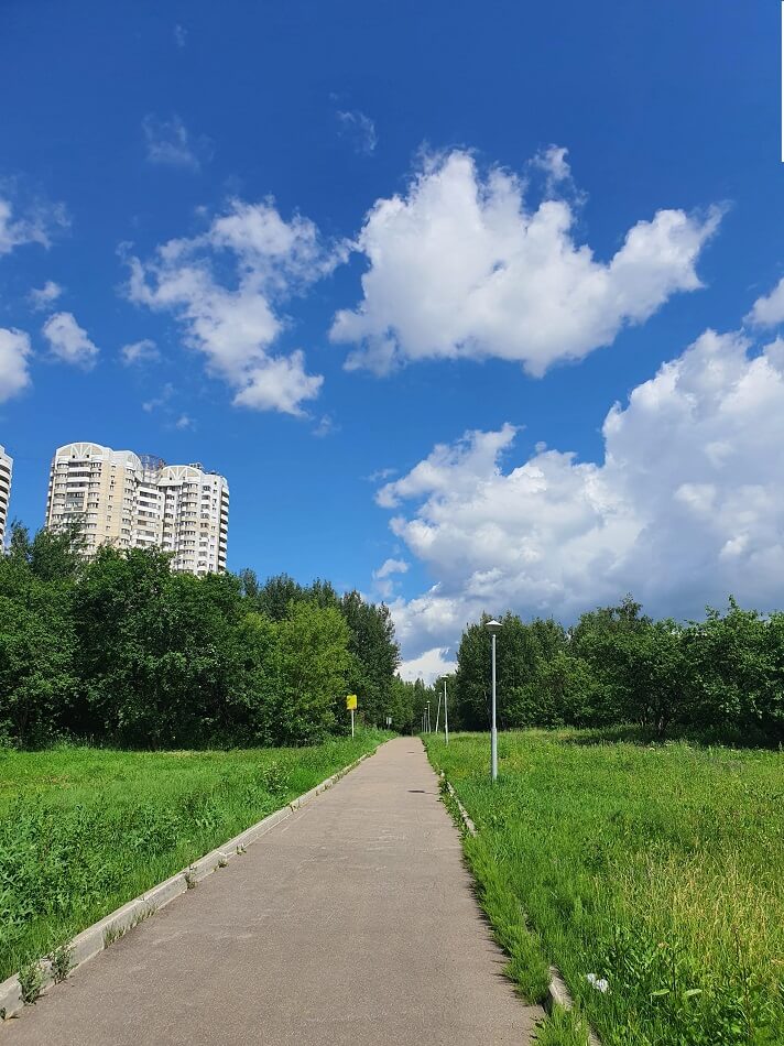 Local shares stunning photos of urban meadow untouched by city ...