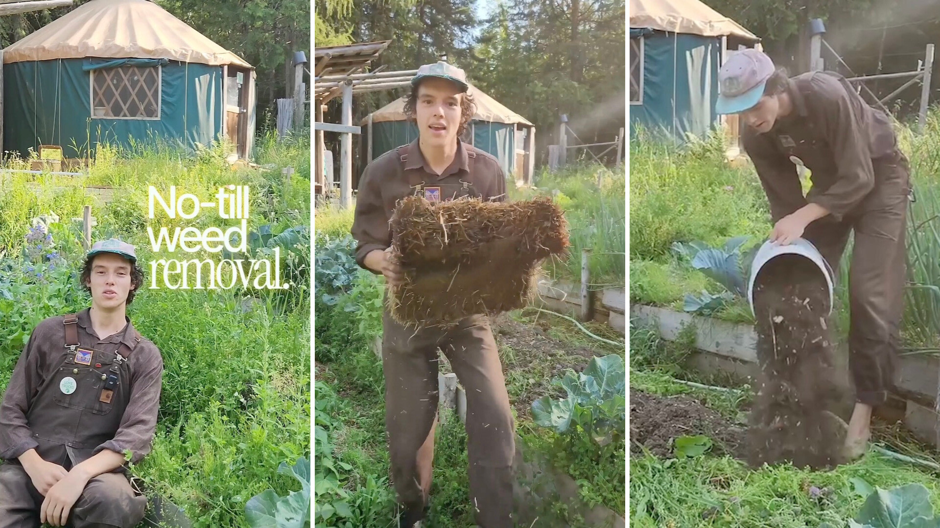 Gardener shares game-changing solution to effortlessly remove weeds ...