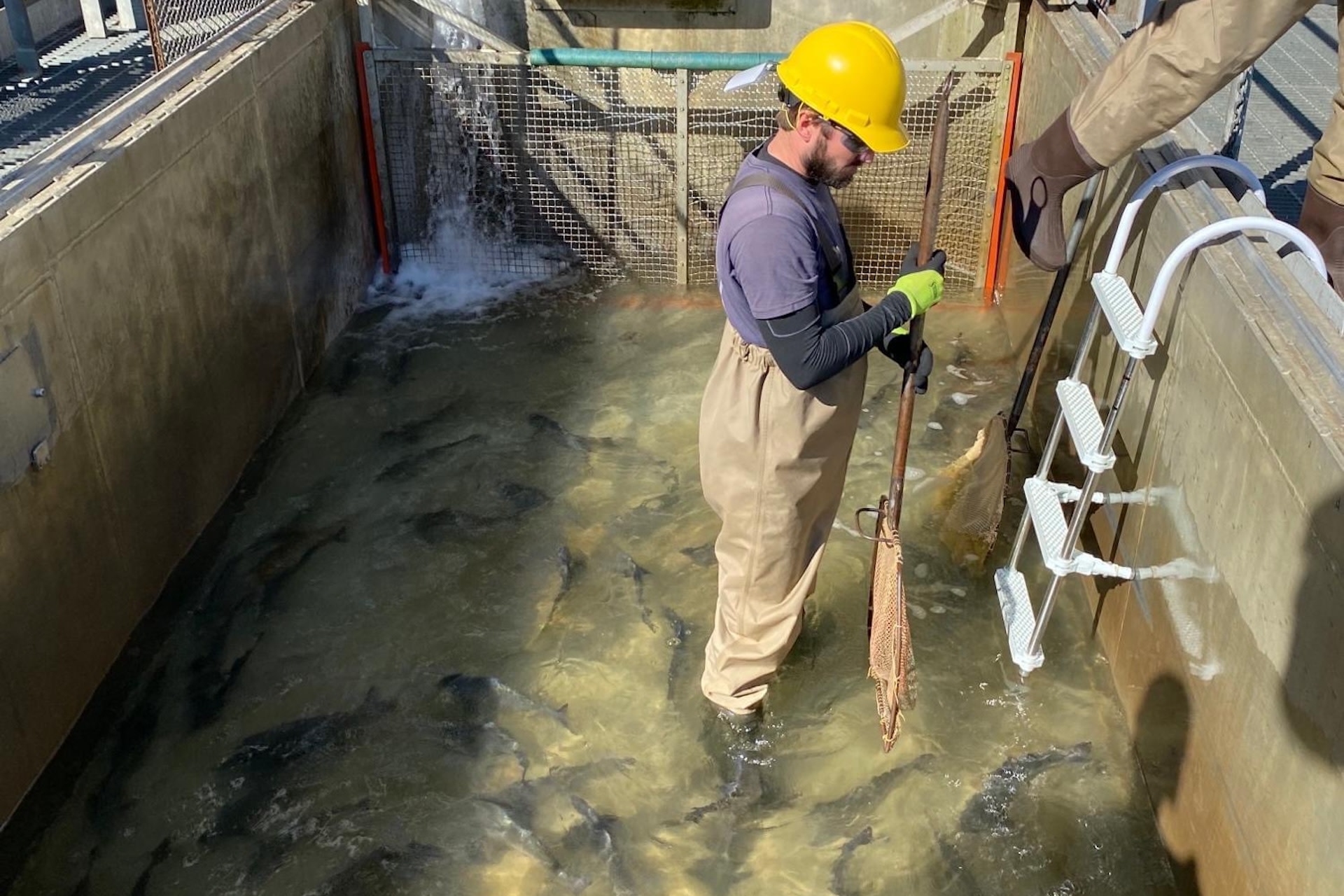 Dam technicians use 'water-filled elevator' to prevent torrent of ...