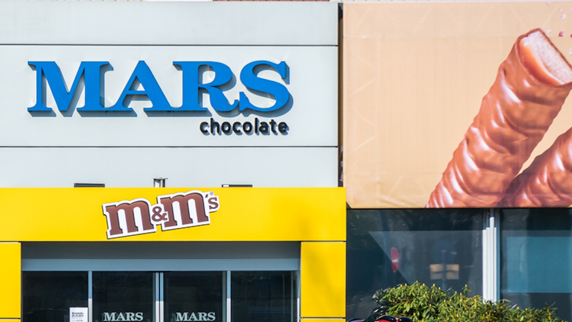 Sweets giant Mars reports major progress on key sustainability goal ...