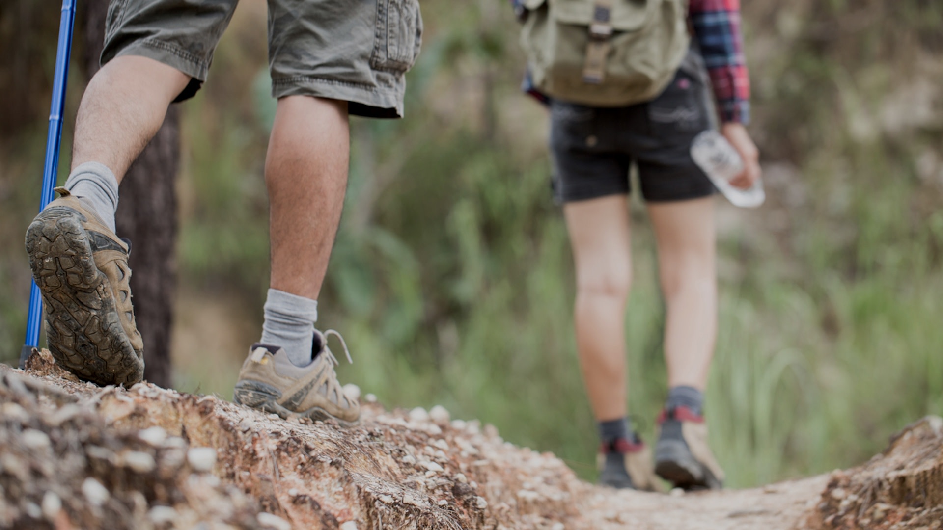 Scientists discover one disturbing effect of the sounds hikers make on ...