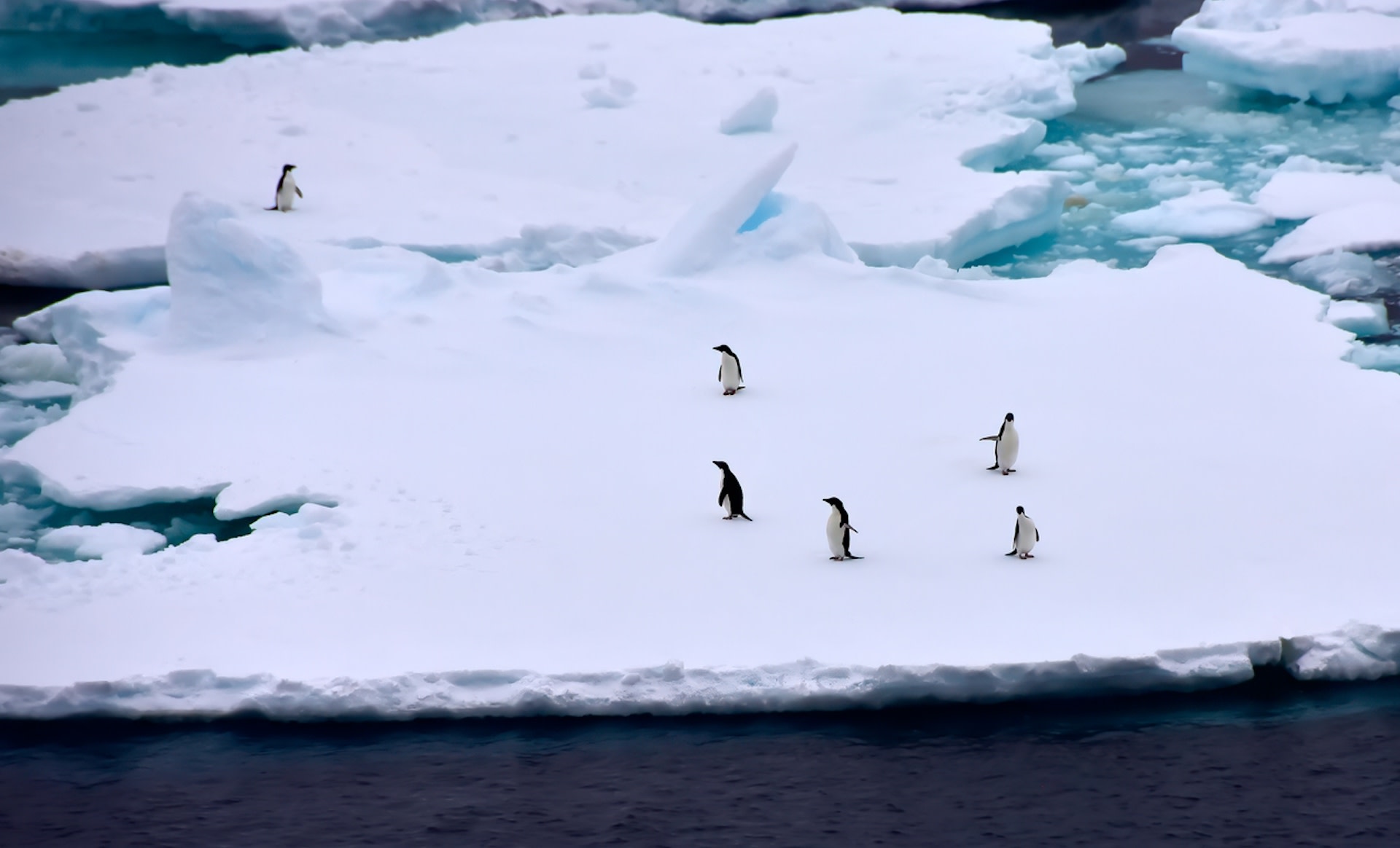 Scientists sound the alarm after making puzzling discovery about ...