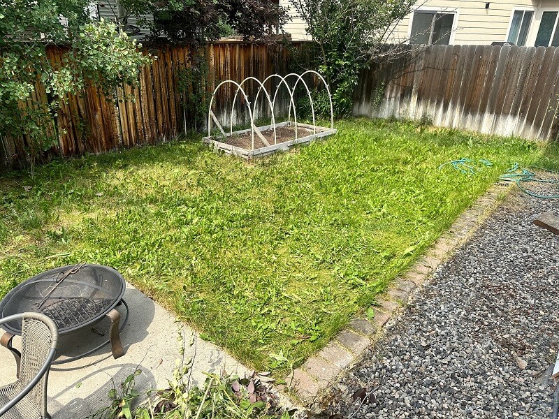 Homeowner at wits' end with finicky lawn shares photos before yard ...