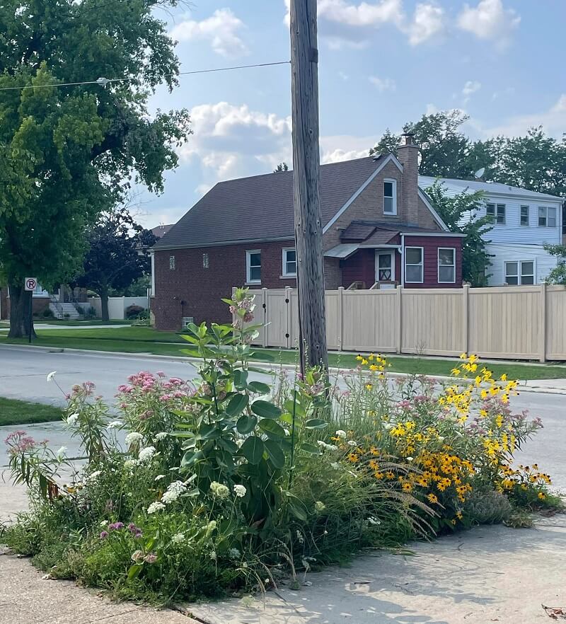 Homeowner shares beautiful photos after transforming 'hell strip' into ...