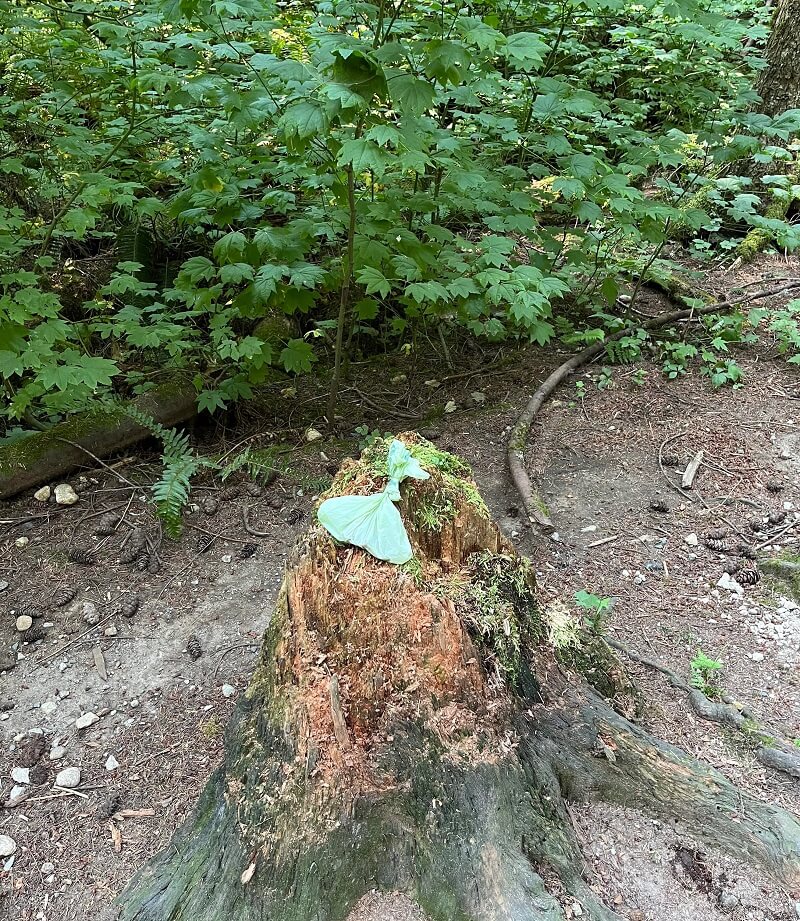 Hiker shares frustrating photos after witnessing repeat offenses on ...