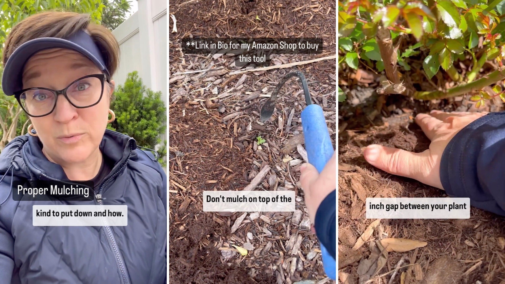 Expert gardener breaks down importance of mulching and common mistakes ...