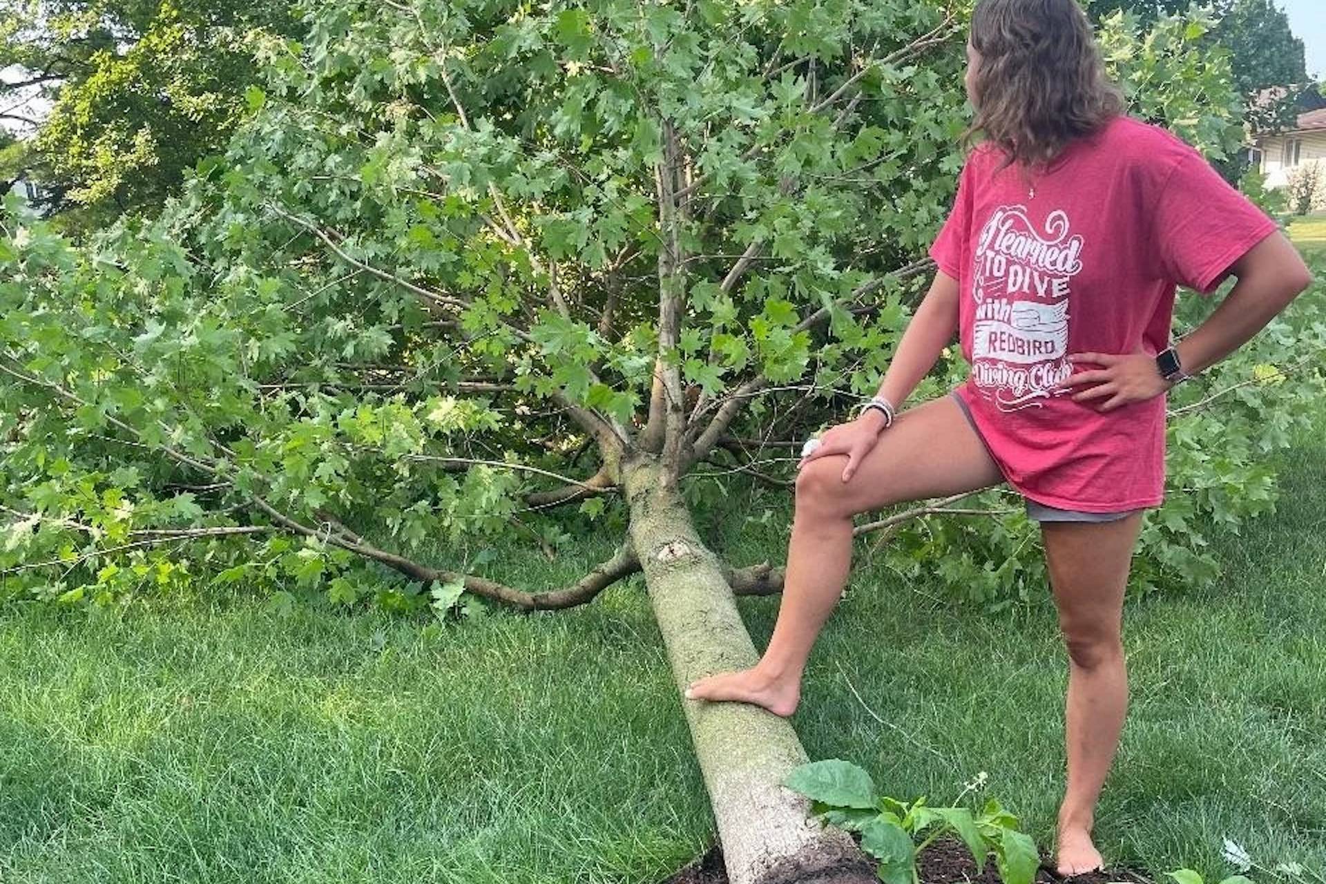 Homeowner bewildered after uprooted tree reveals disturbing view of base: 'Can anyone shed some ...
