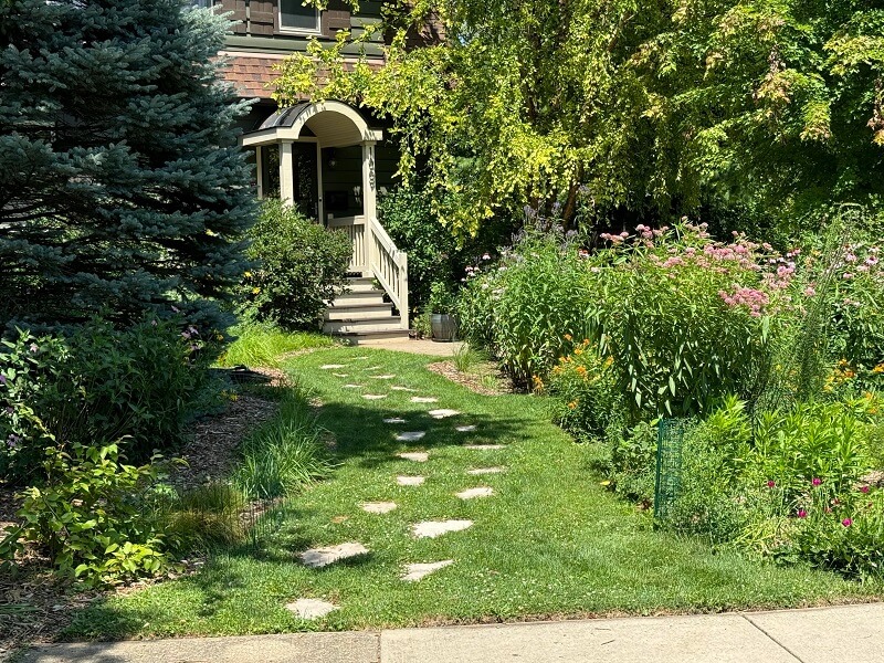 Gardener shares breathtaking images of lawn rewilding project: 'This is ...