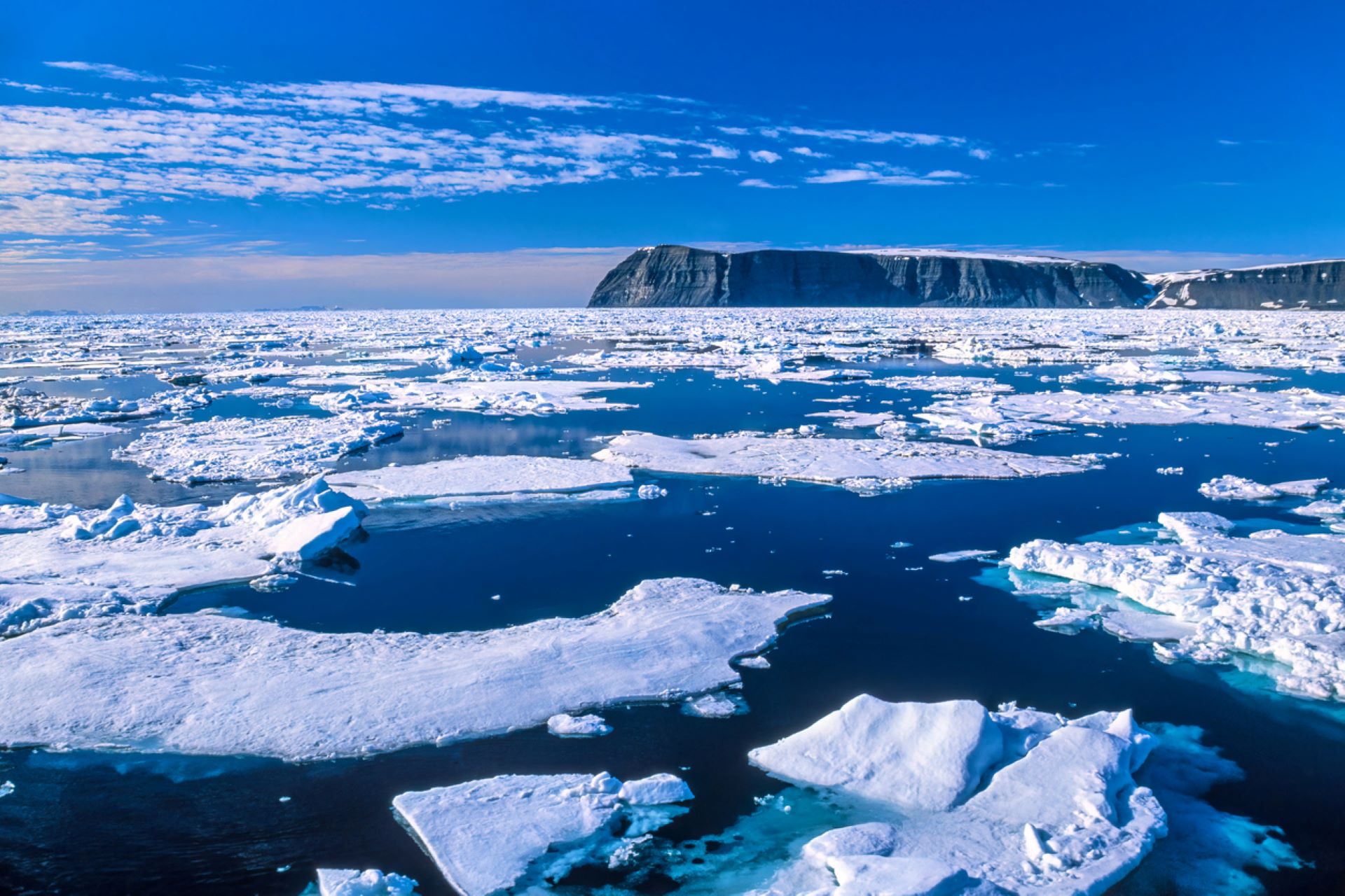 Expert data warns of concerning and unexpected situation in the Arctic ...