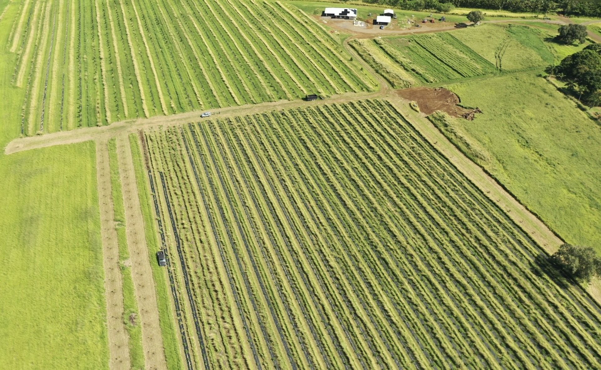 Island-based nonprofit finalizes agreement to preserve over 25 acres of ...