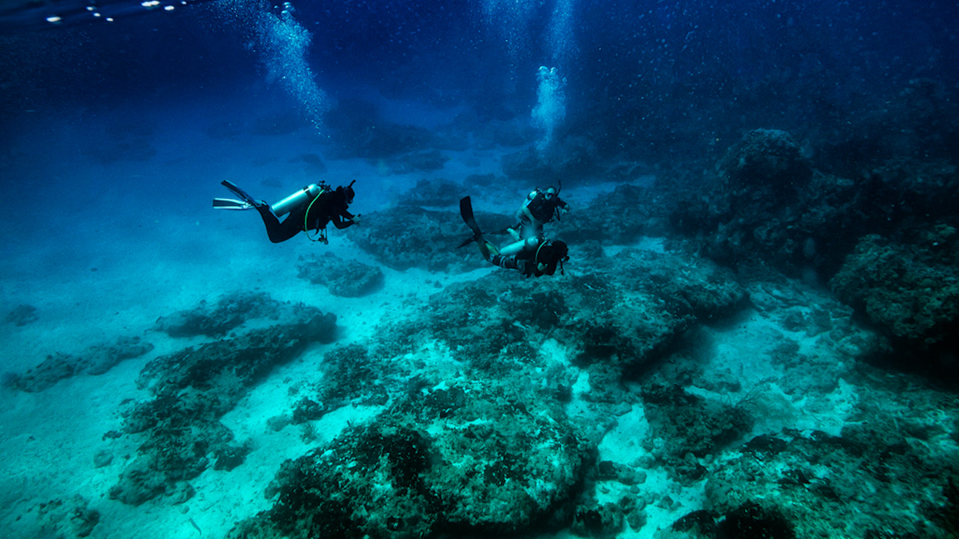 Researchers stunned by discoveries during coordinated deep-sea ...