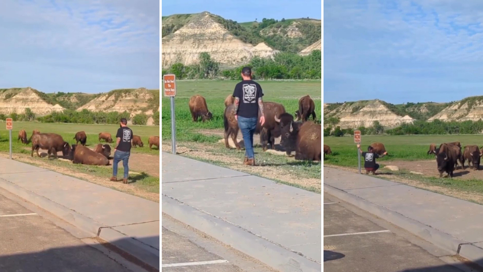 Bystander catches harrowing video as inconsiderate tourist gets too ...