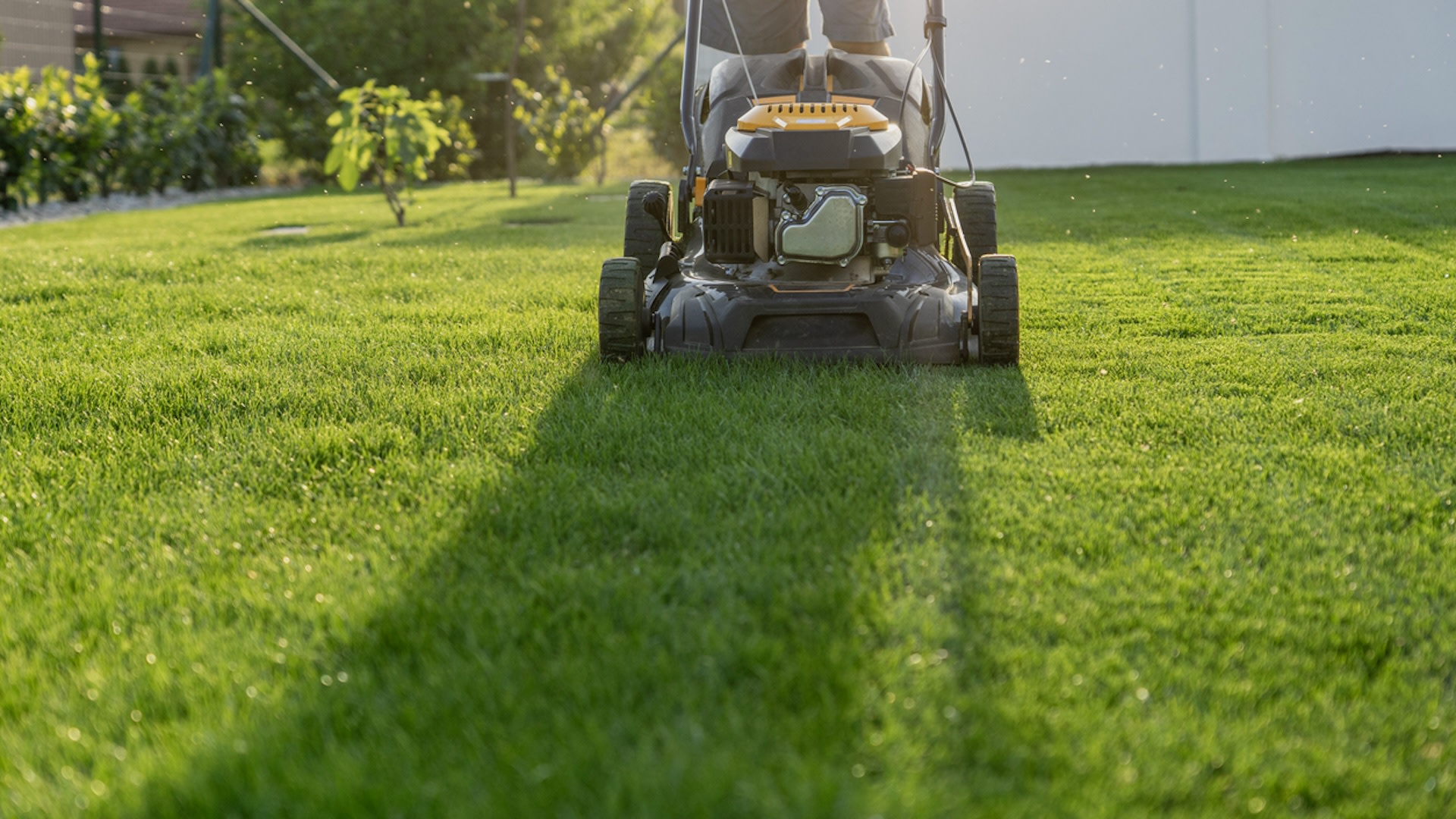 Homeowner shares concerns after next door neighbor mows lawn ...