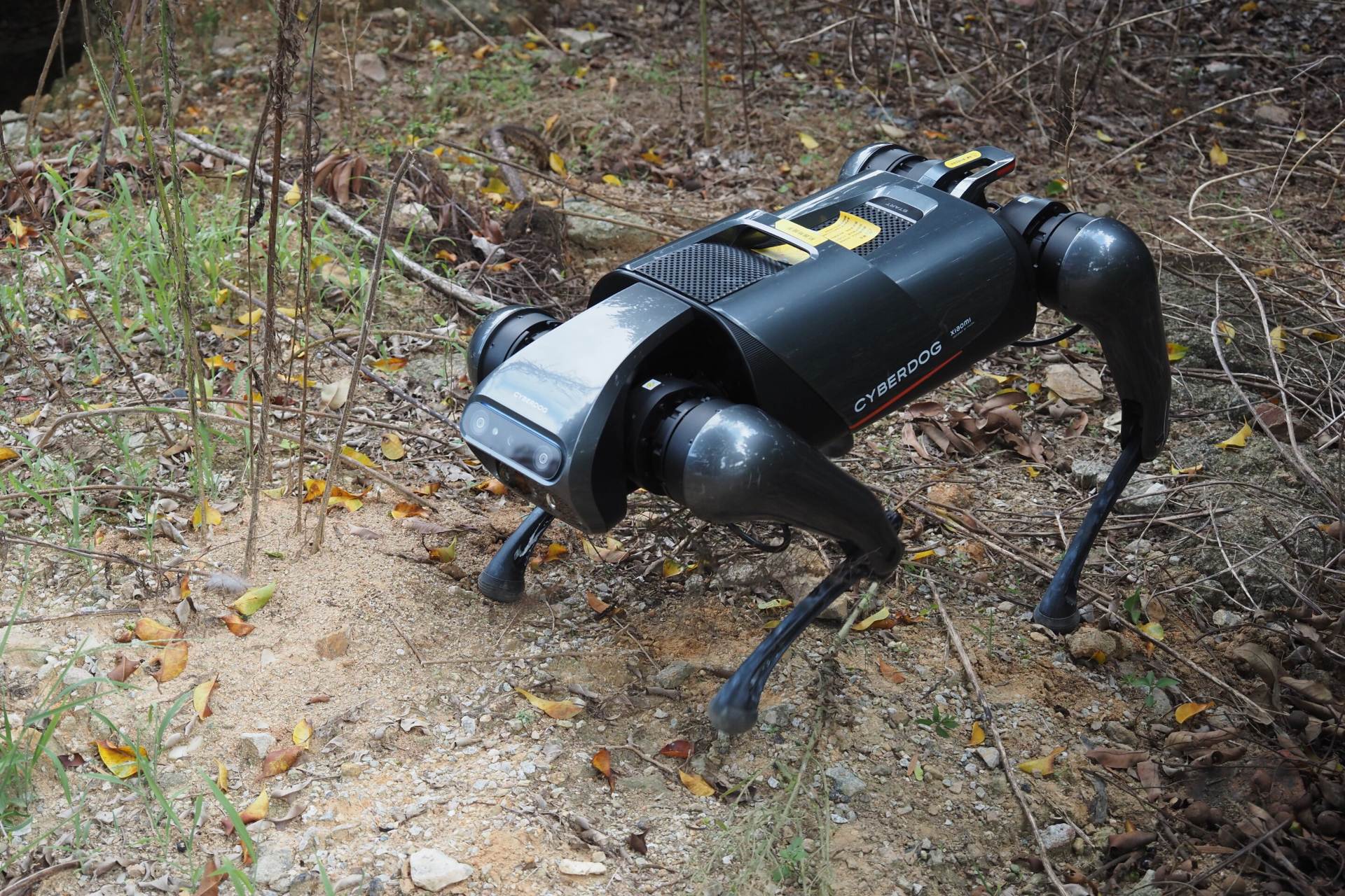 Researchers develop robot dog to combat highly invasive species ...