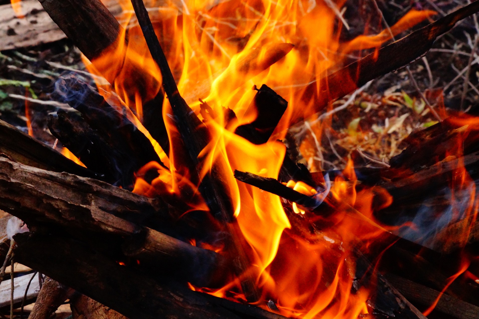 Homeowner stunned after confronting neighbor about toxic backyard ...