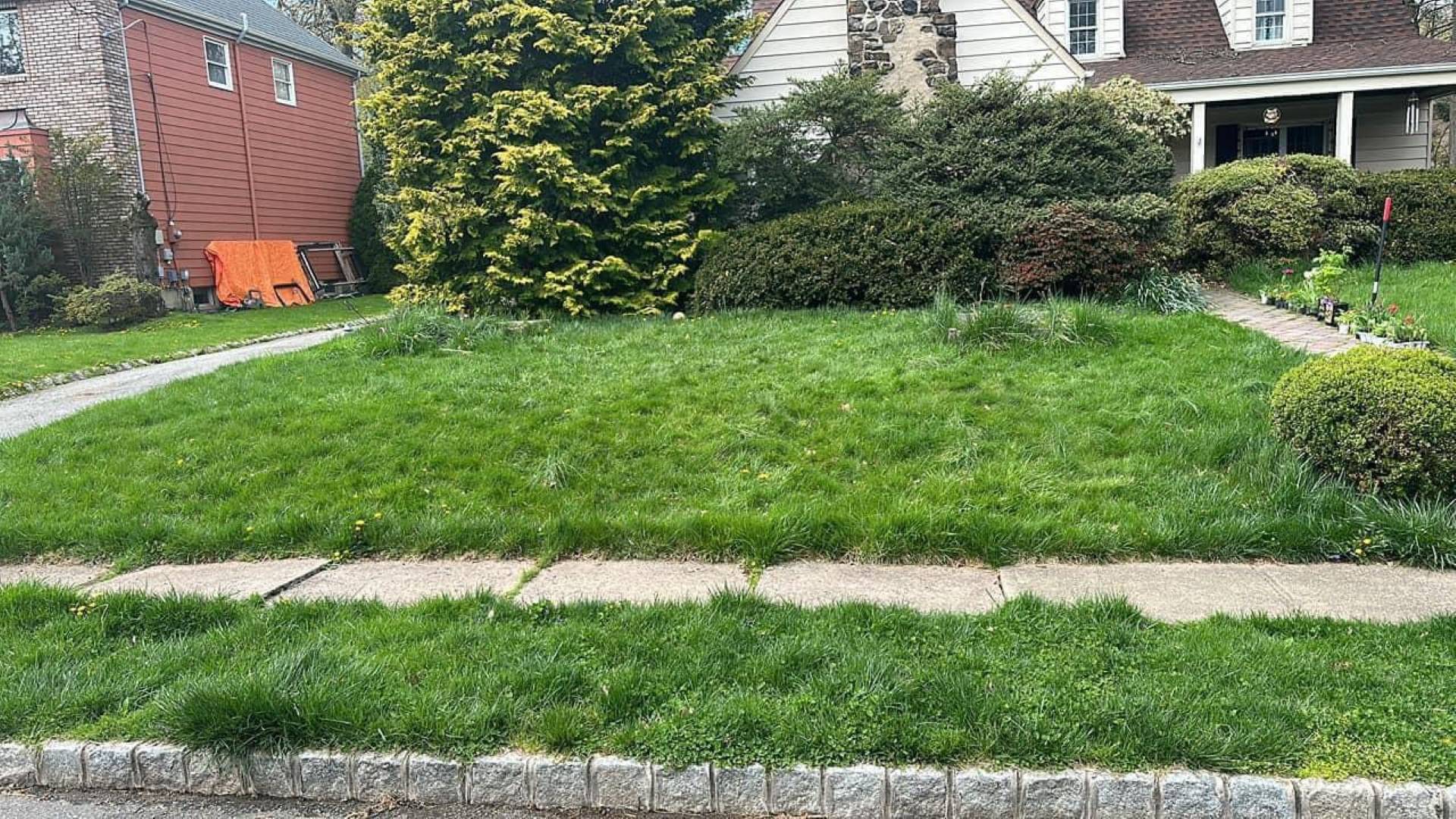 Proud homeowner shares before-and-after transformation photos of ...