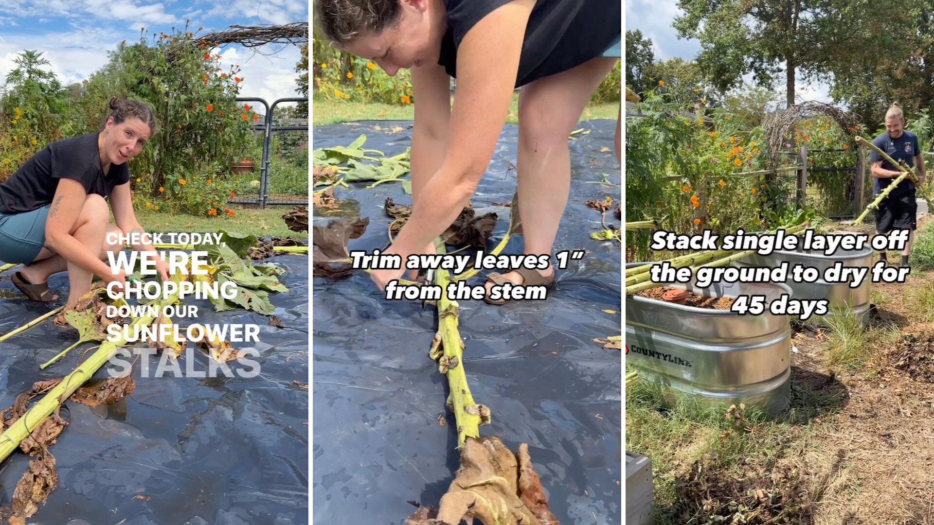 Community gardeners share brilliant, money-saving idea to reuse dried ...