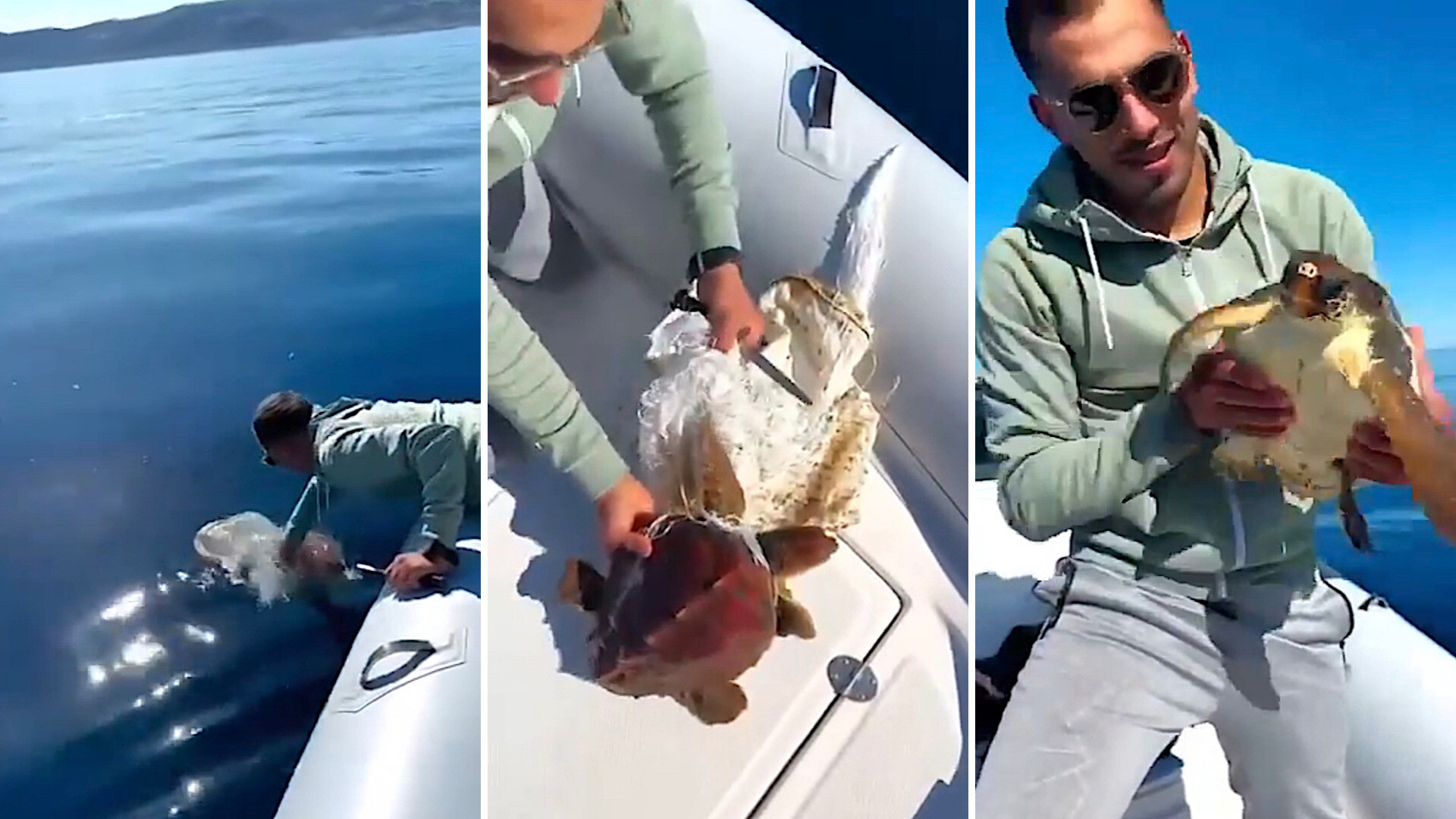 Video captures man's rescue of sea turtle entangled in fishing net ...