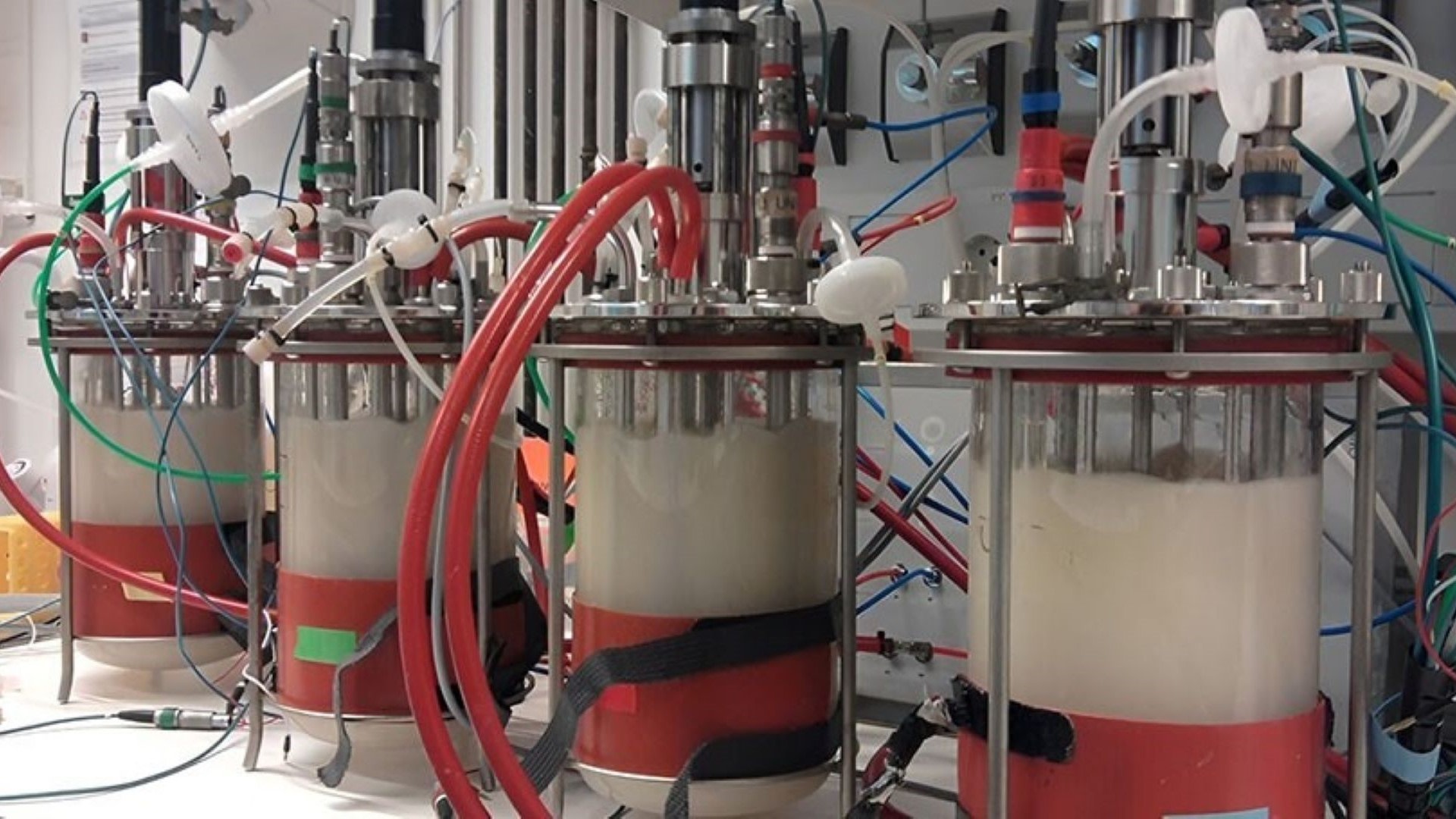 Researchers make breakthrough with genetically engineered yeast that ...