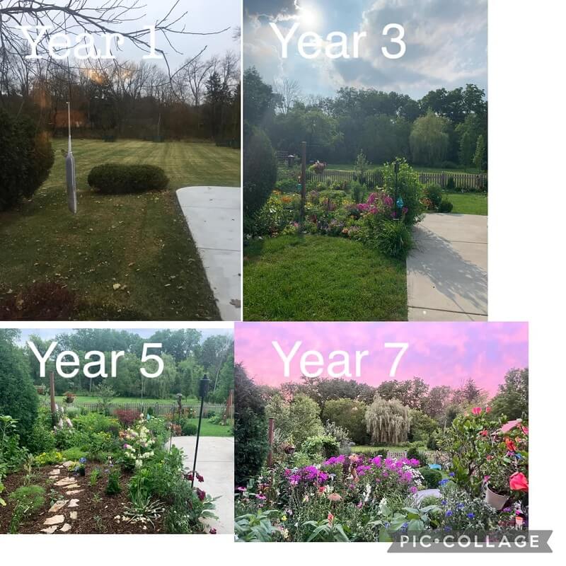 Homeowner shares before-and-after photos of stunning backyard landscaping transformation: 'You ...