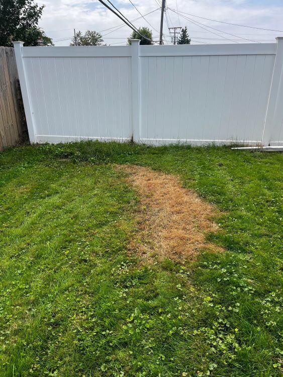 Homeowner seeks advice after neighbor's unsafe actions damage lawn: 'I ...