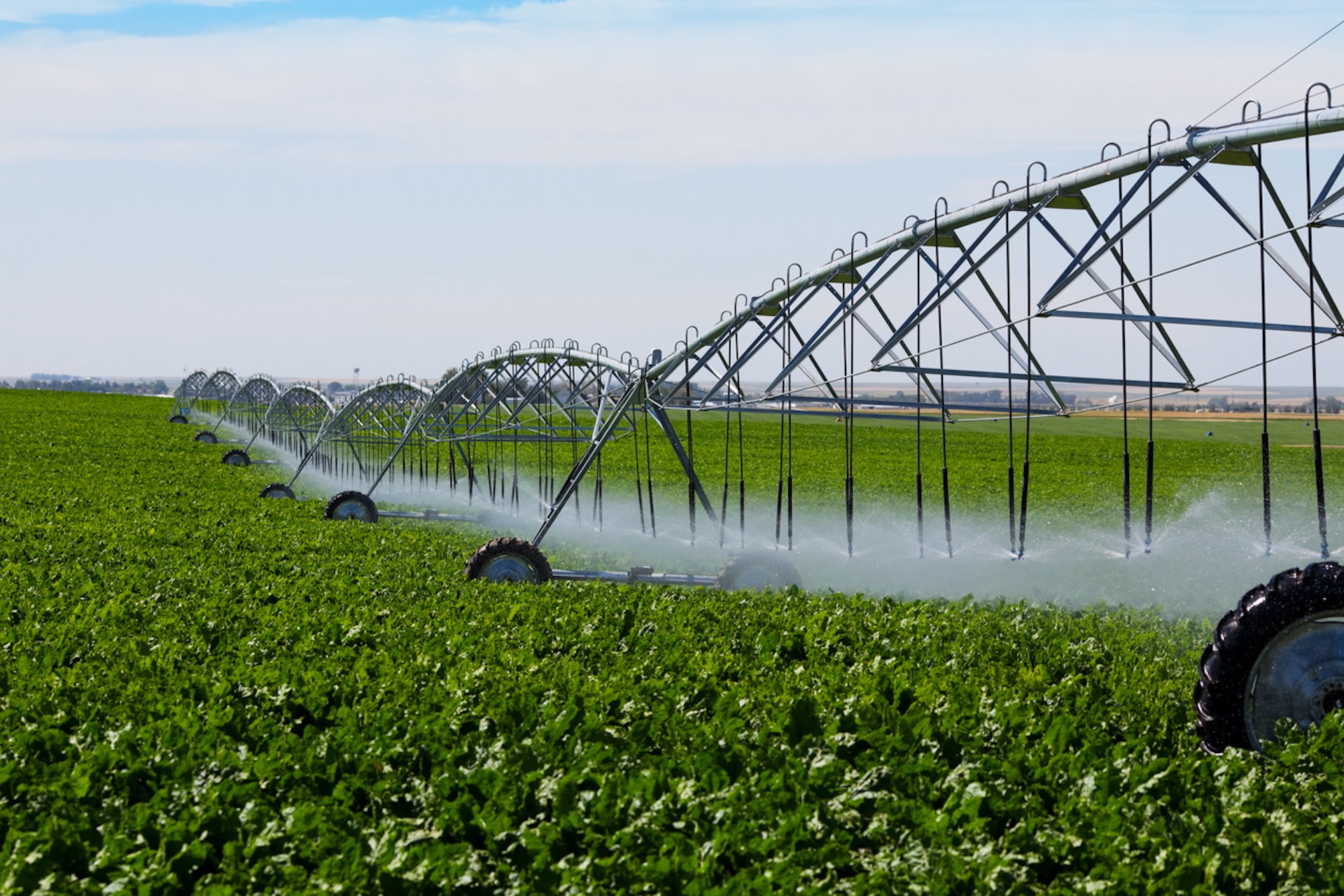 USDA launches historic new program with goal of conserving 50,000 acre ...