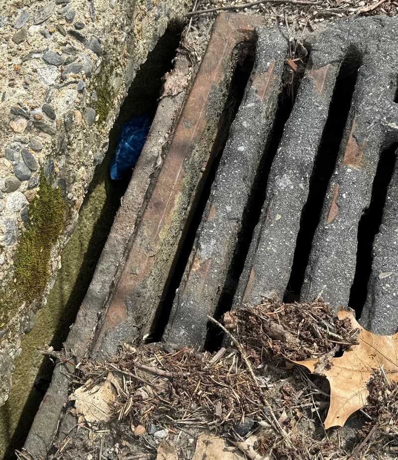 Homeowner appalled after catching neighbor throwing hazardous item in ...