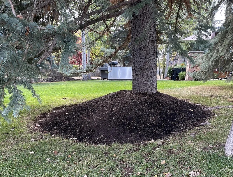 Homeowner seeks advice after spotting neighbor's unsuspecting property ...