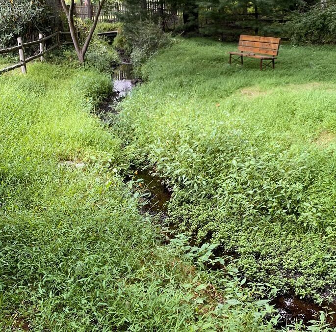 Homeowner shares striking before-and-after photos after eliminating ...
