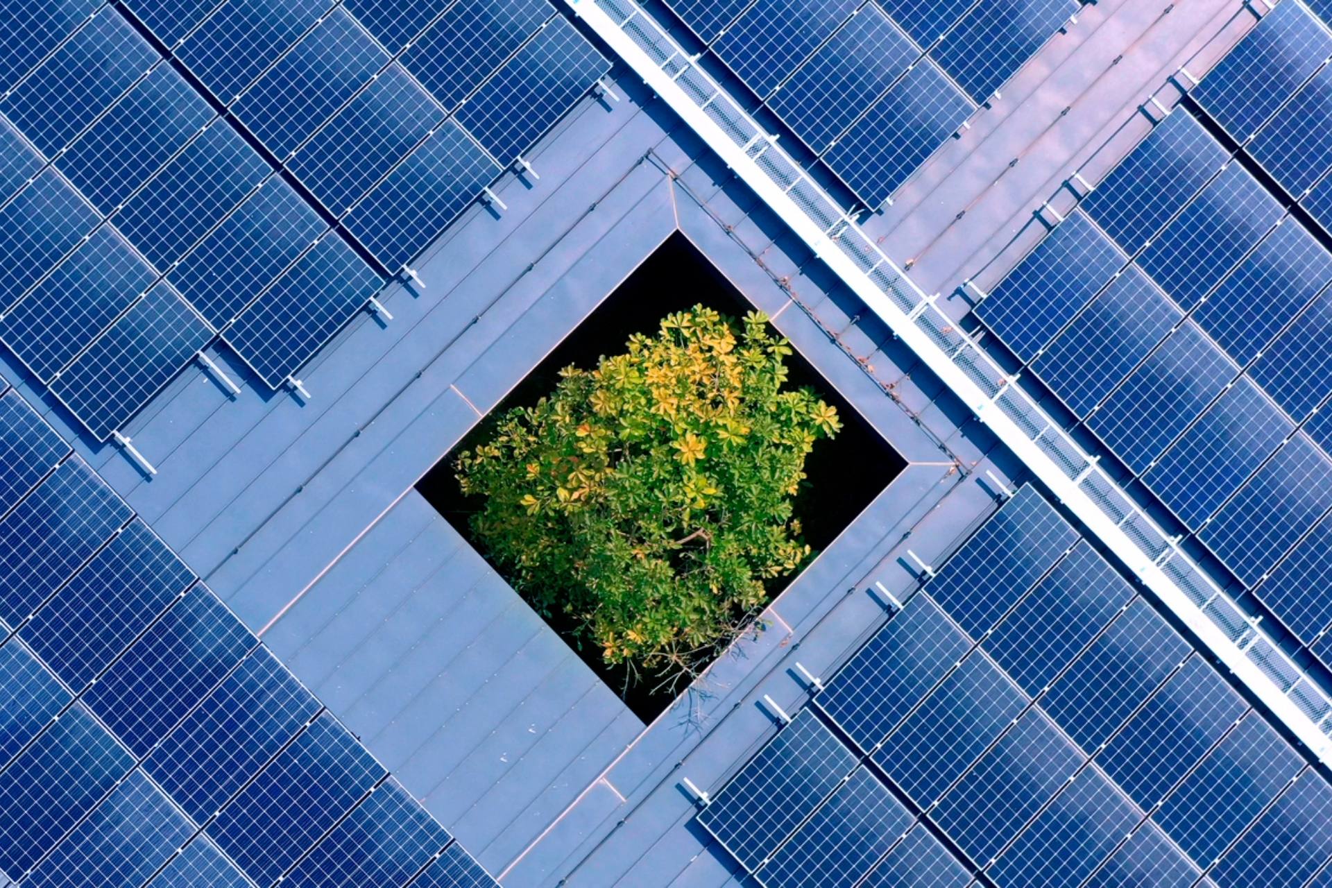 Manufacturer finds innovative solution to solve major solar panel ...