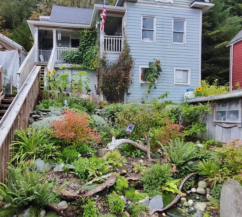Passerby snaps amazing photo of garden in small Alaskan town ...