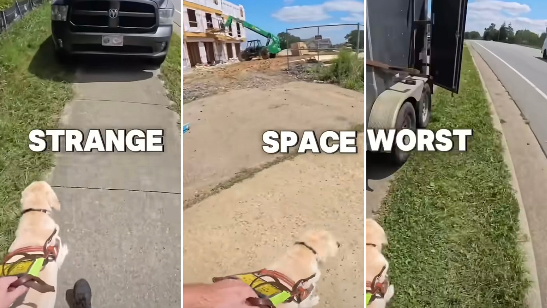 Pedestrian shares frustrating attempt at navigating blocked sidewalks ...