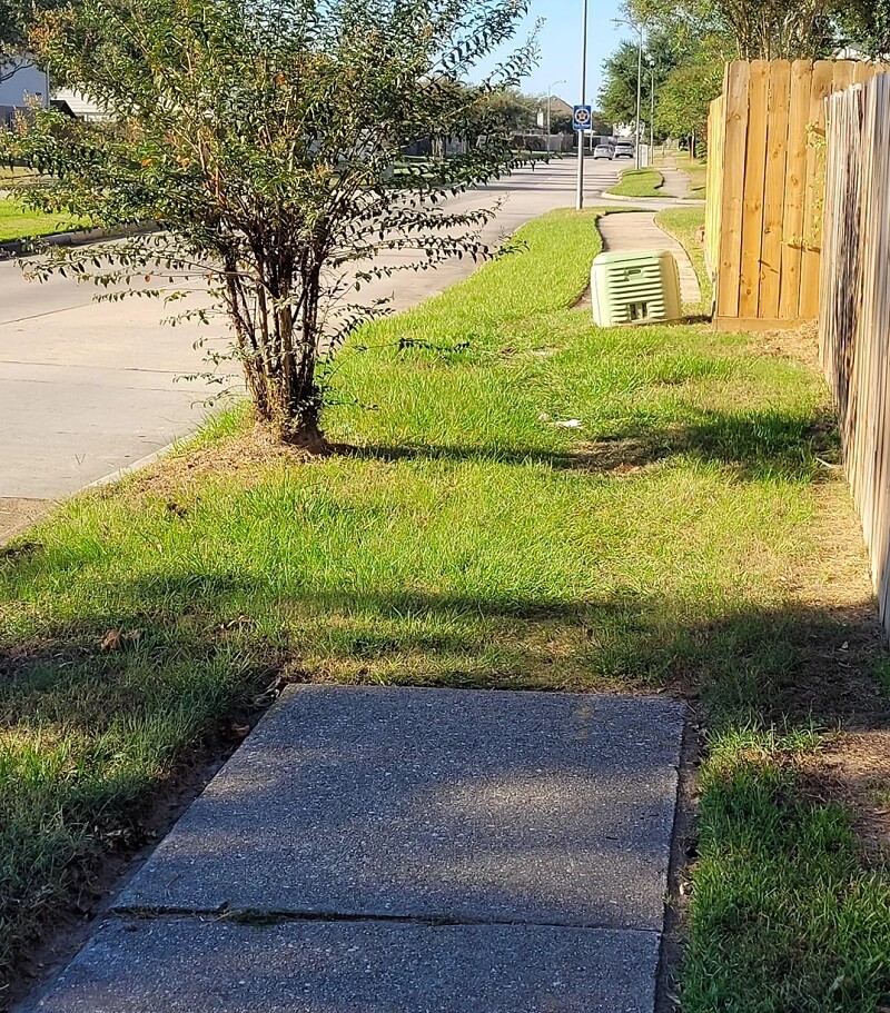 Pedestrian stunned after trying to navigate 'sidewalks' in major US ...
