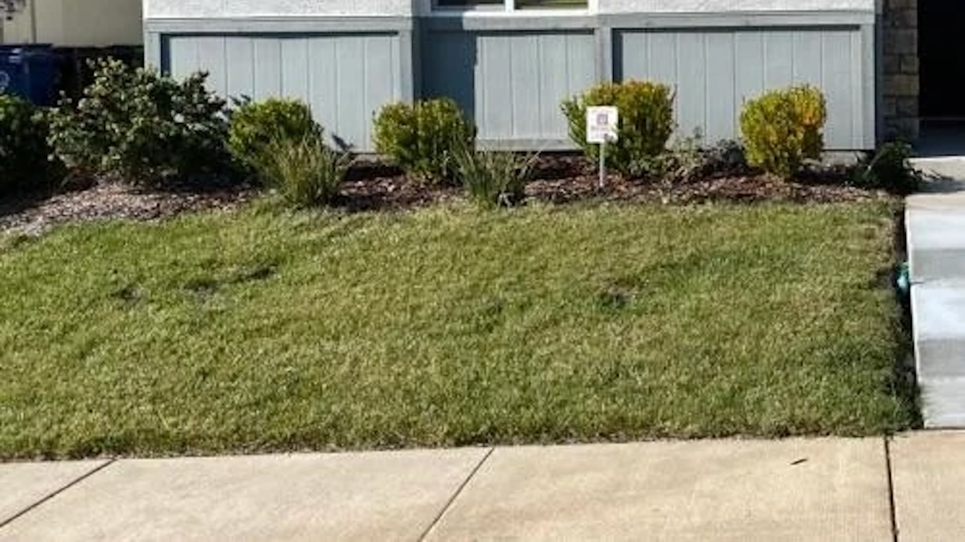 Homeowner shares before-and-after transformation photos after ripping ...